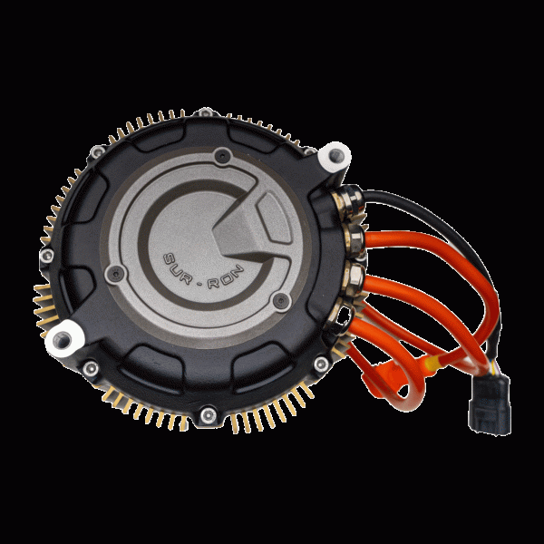 Ultra Bee Motor Assembly – SURRON™ Canada